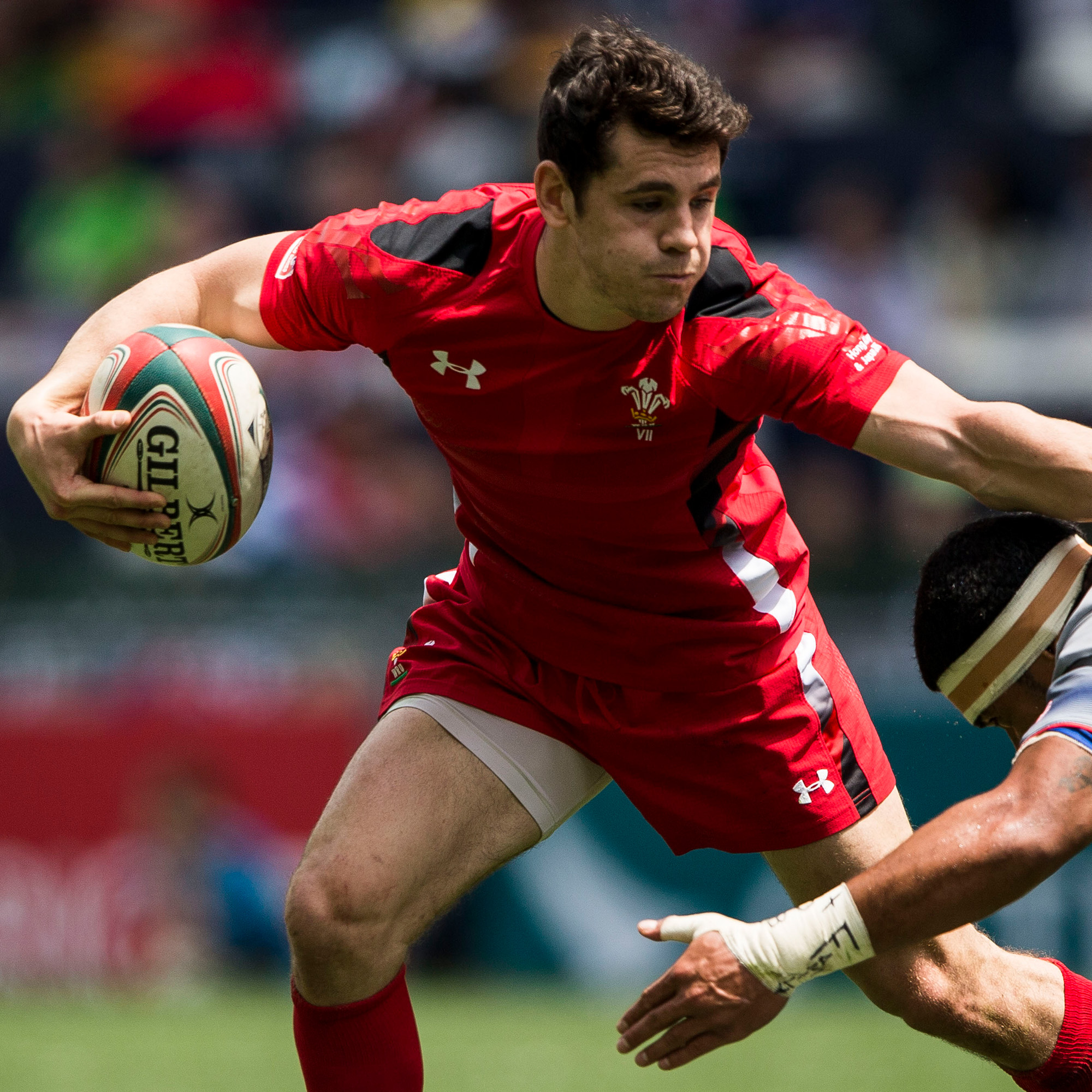 Tomos Williams Rugby | Tomos Williams News, Stats & Team | RugbyPass