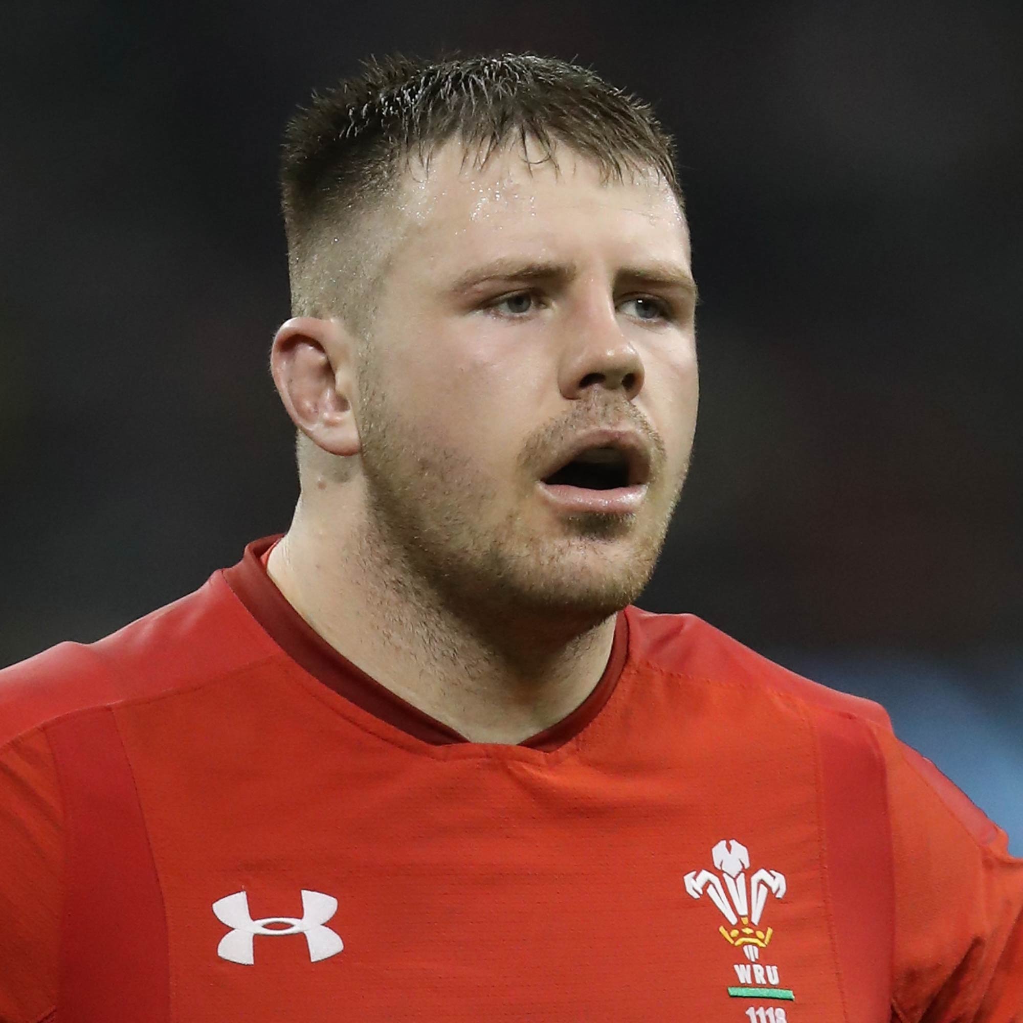 Rob Evans Rugby | Rob Evans News, Stats & Team | RugbyPass