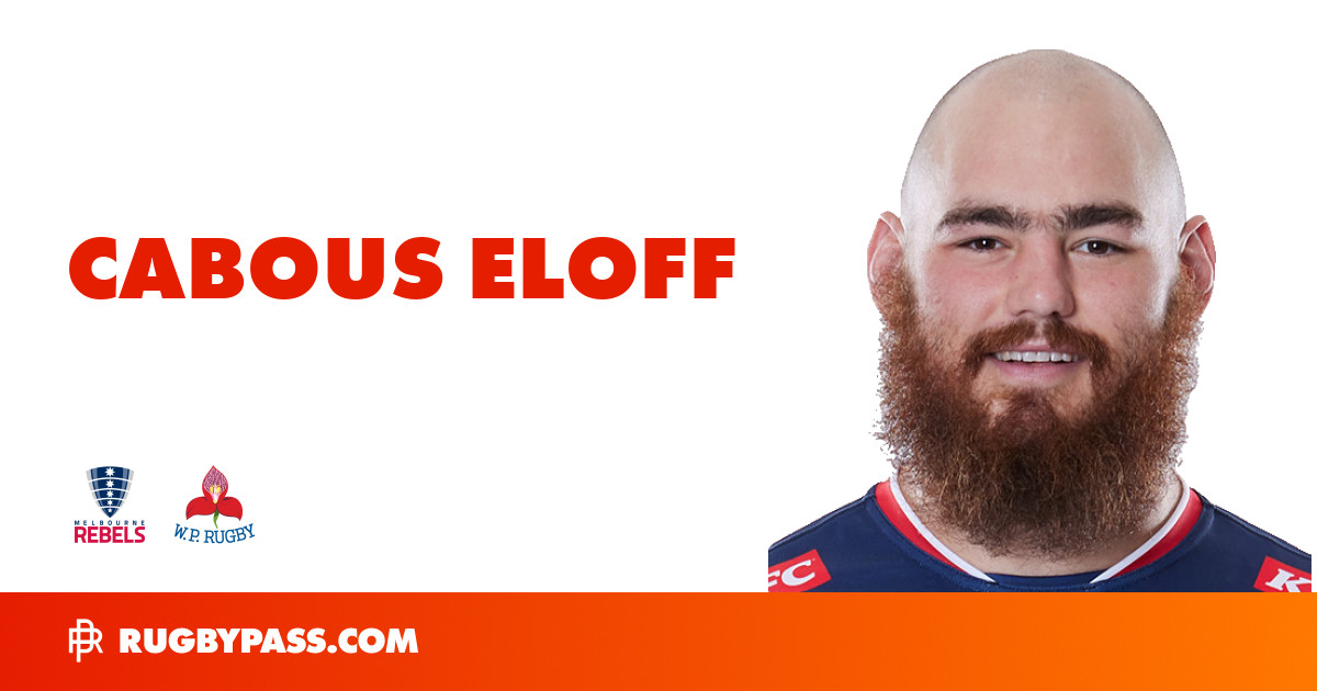 Cabous Eloff Rugby Bio | News, Stats, Age, Height & Team | RugbyPass