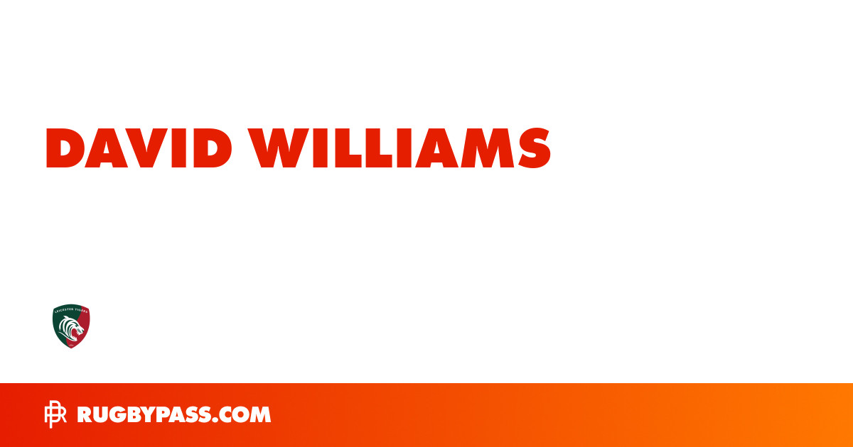 David Williams Rugby Bio | News, Stats, Age, Height & Team | RugbyPass