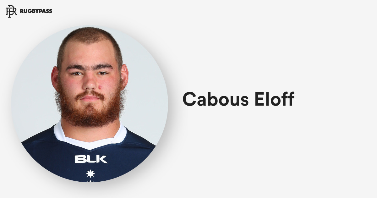 Cabous Eloff Rugby | Cabous Eloff News, Stats & Team | RugbyPass