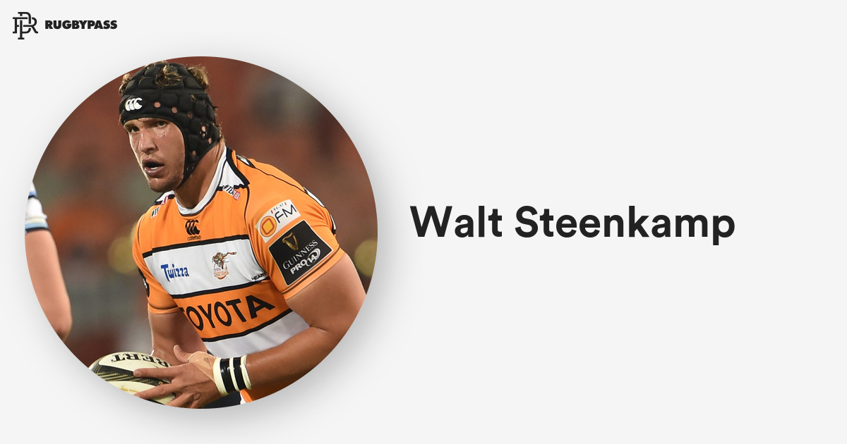 Walt Steenkamp Rugby | Walt Steenkamp News, Stats & Team | RugbyPass