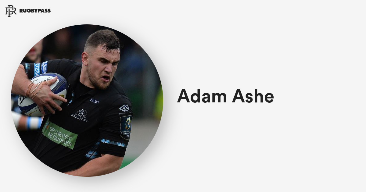 Adam Ashe Rugby | Adam Ashe News, Stats & Team | RugbyPass