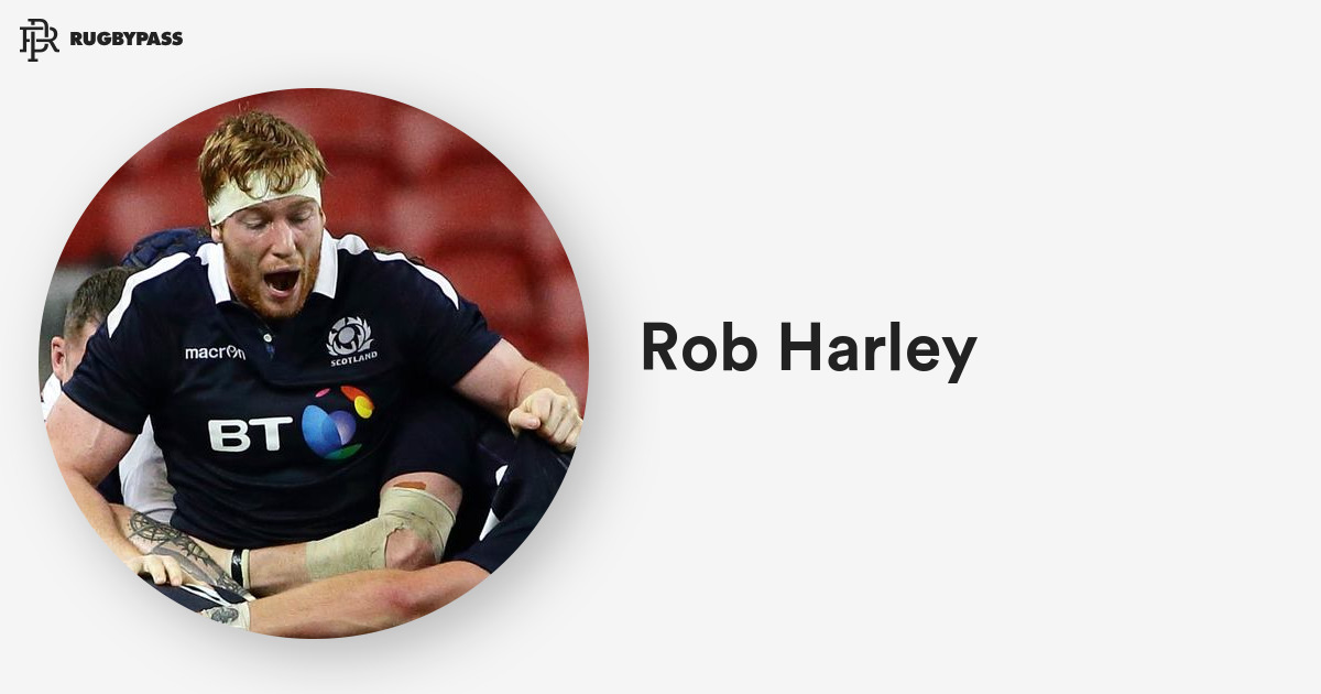 Rob Harley Rugby | Rob Harley News, Stats & Team | RugbyPass
