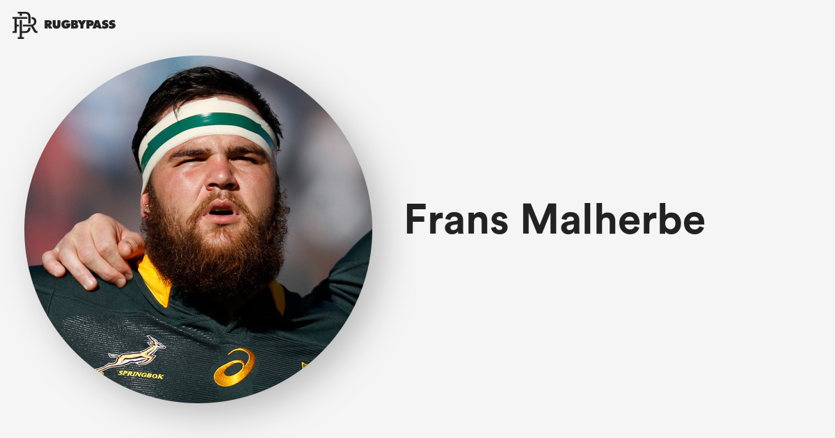 Frans Malherbe Rugby | Frans Malherbe News, Stats & Team | RugbyPass