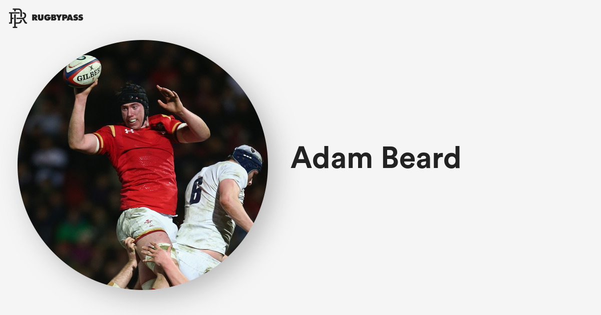 Adam Beard Rugby | Adam Beard News, Stats & Team | RugbyPass