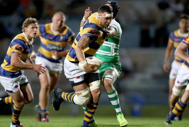 Cole Forbes Rugby | Cole Forbes News, Stats & Team | RugbyPass