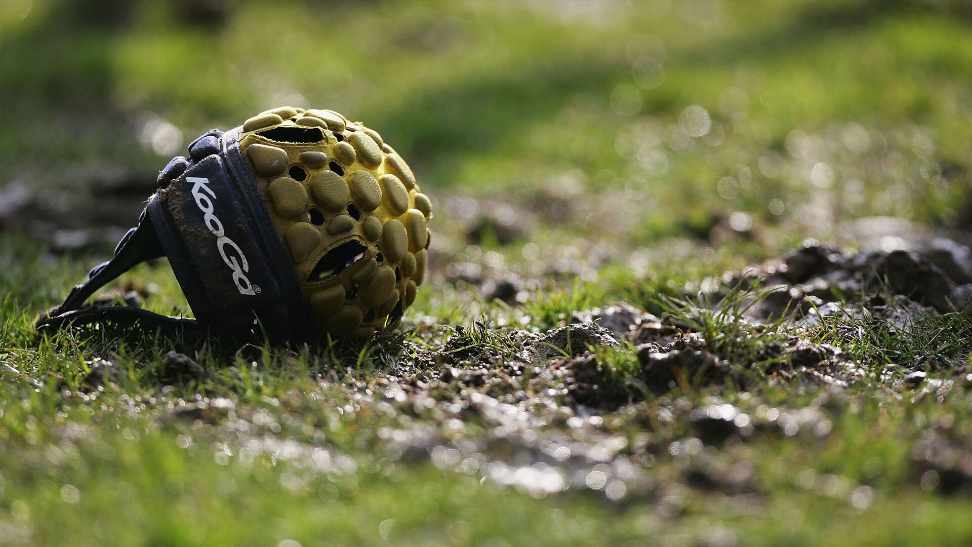 Scottish based NZ rugby player banned after buying substance online to ...