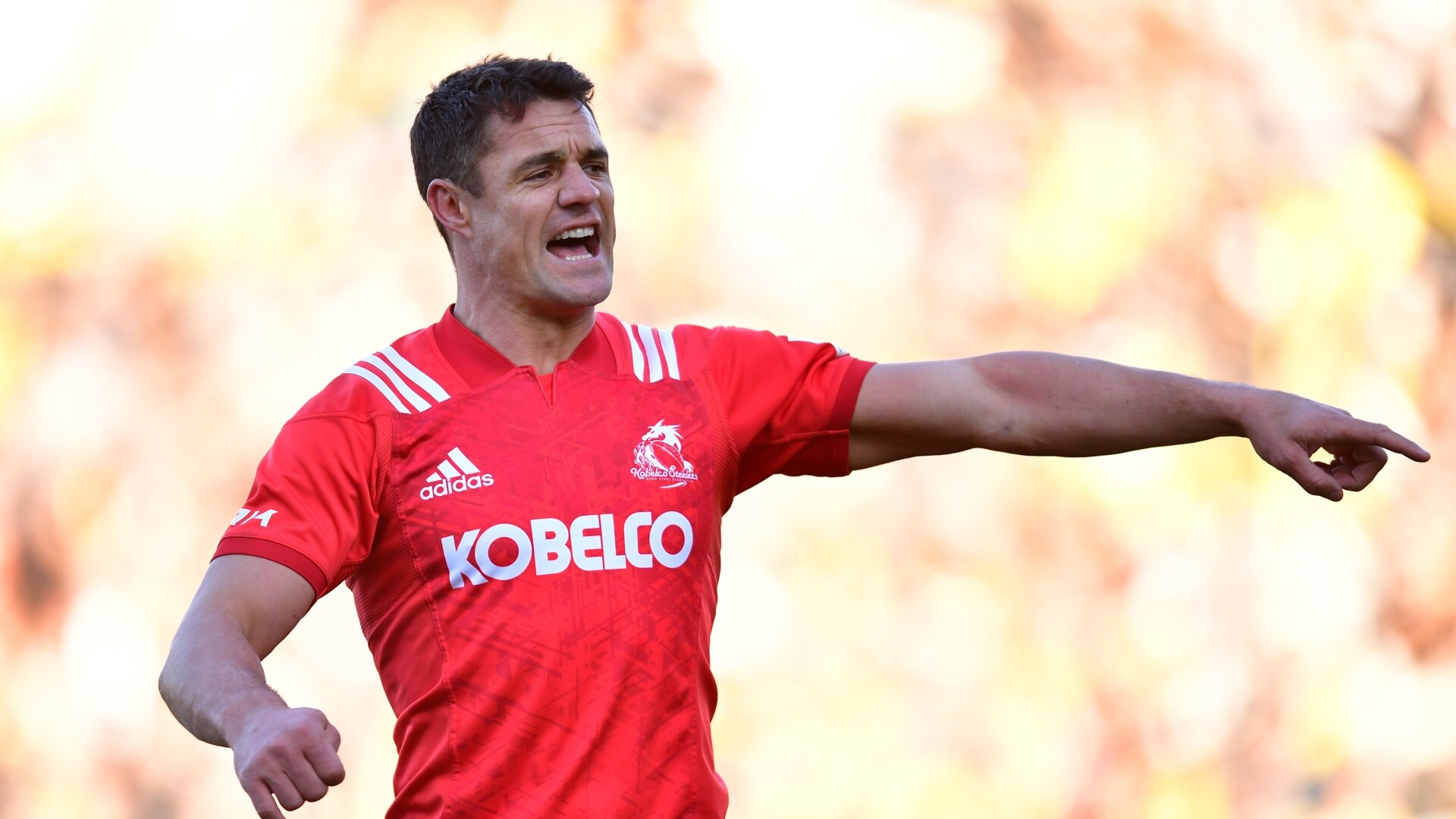 Dan Carter is returning to France to play rugby - reports