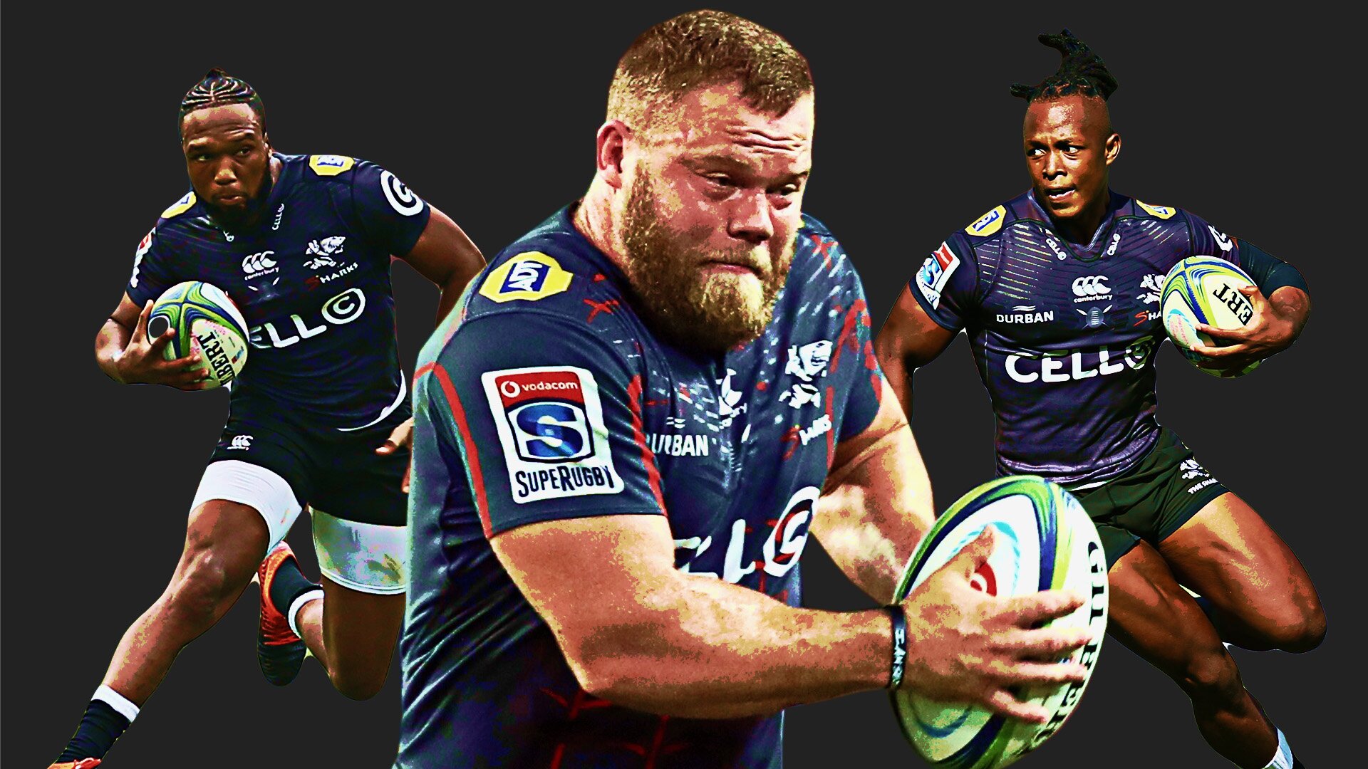 Stable Sharks can end drought - Super Rugby 2019 Preview