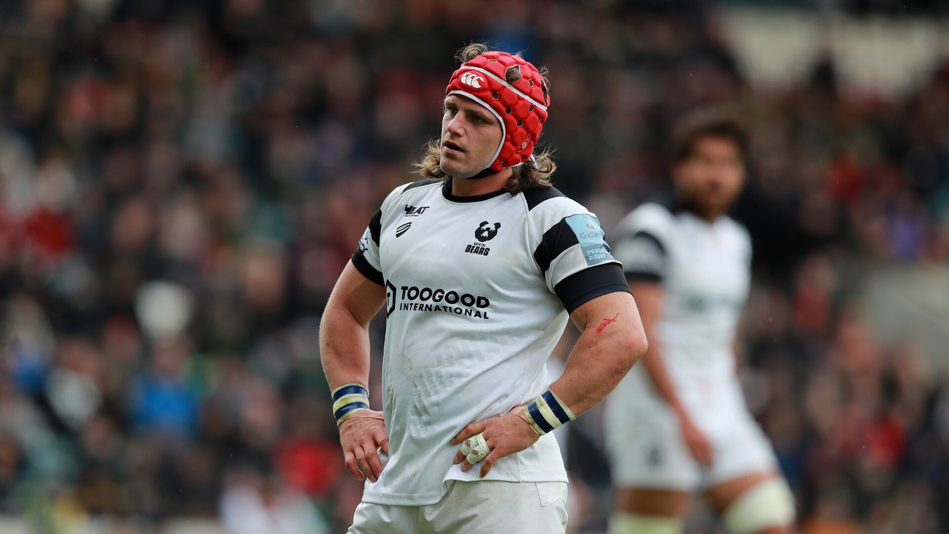 'He would fit very well in Super Rugby' - Lam compares Harry Thacker to ...