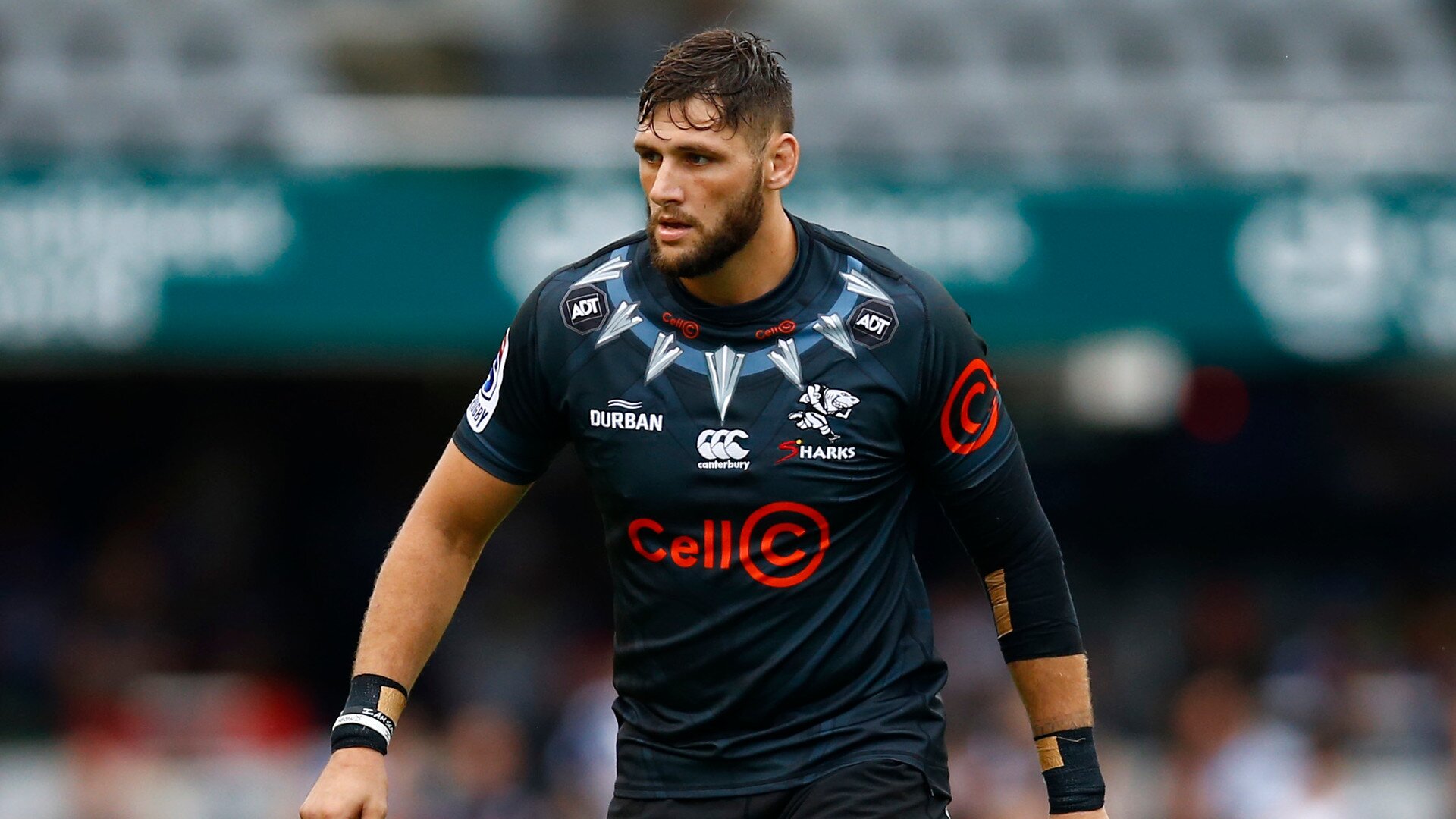 London Irish sign 6 foot 9, 19.5 stone Ruan Botha