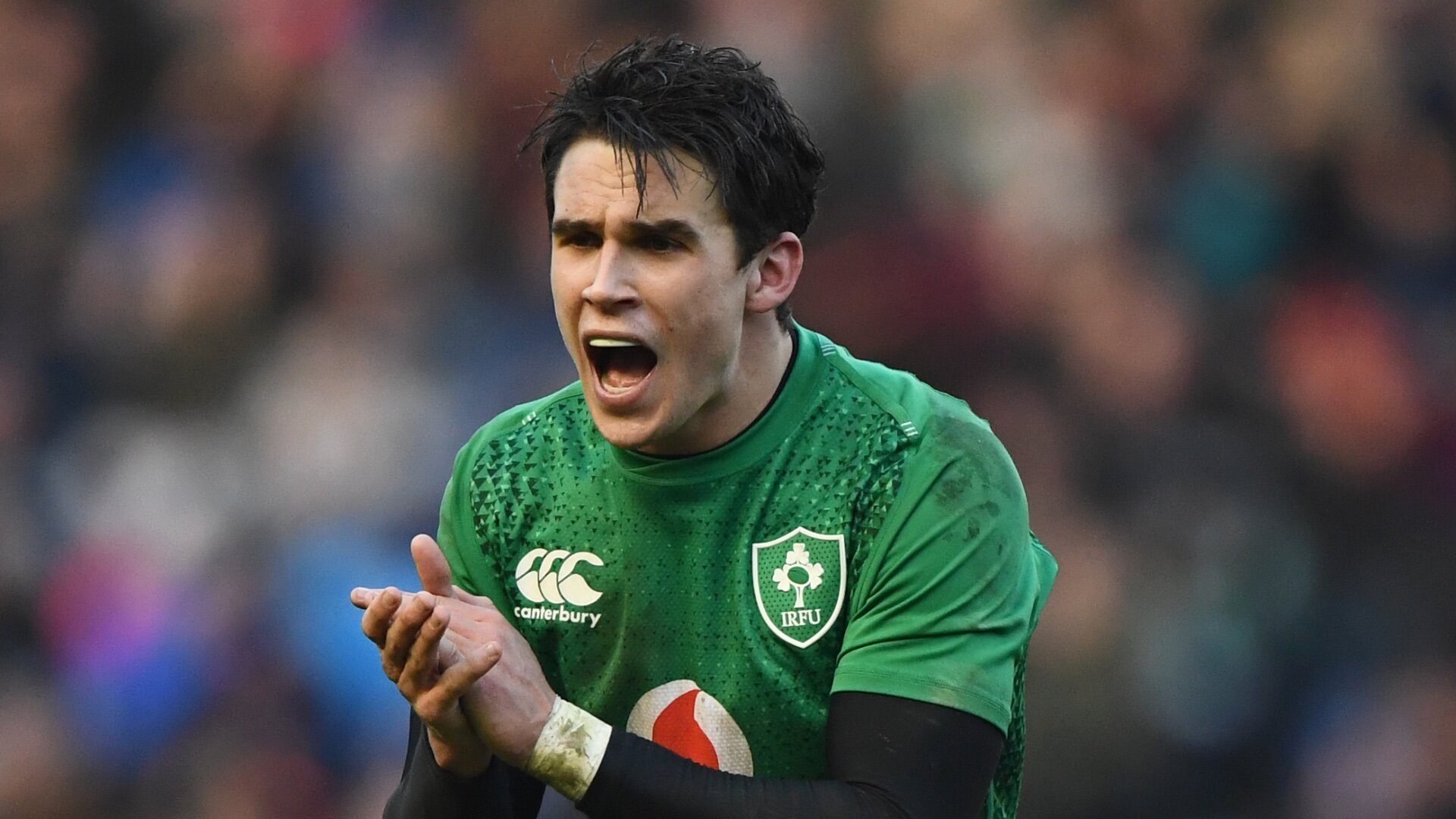 Carbery will miss Ireland's entire Six Nations campaign