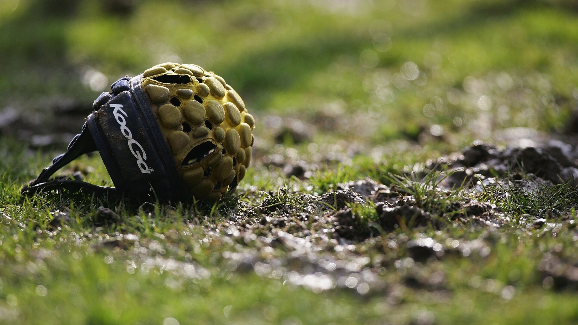 Max Brito, who was paralysed at the 1995 Rugby World Cup, has died