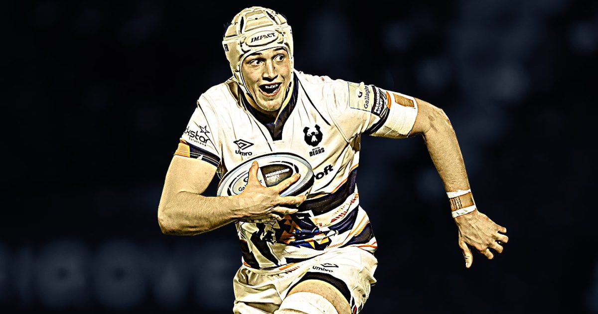 The cap Fitz emerging Bear Harding