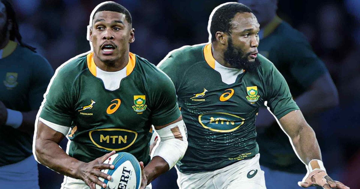 Have the Springboks stumbled upon their World Cup backline?