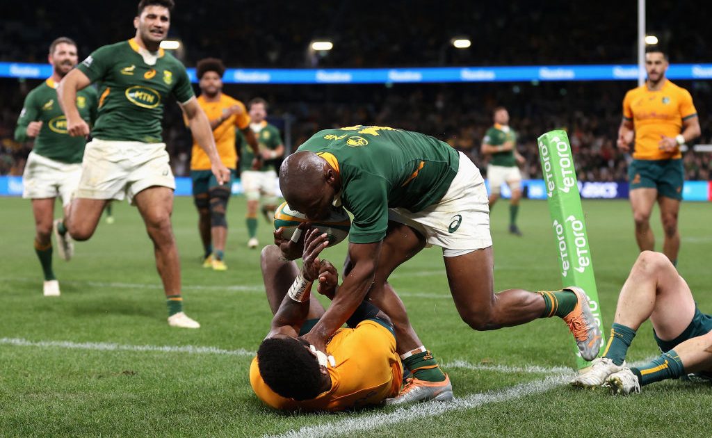 The raged-up Springboks find their intensity again and enter the box seat