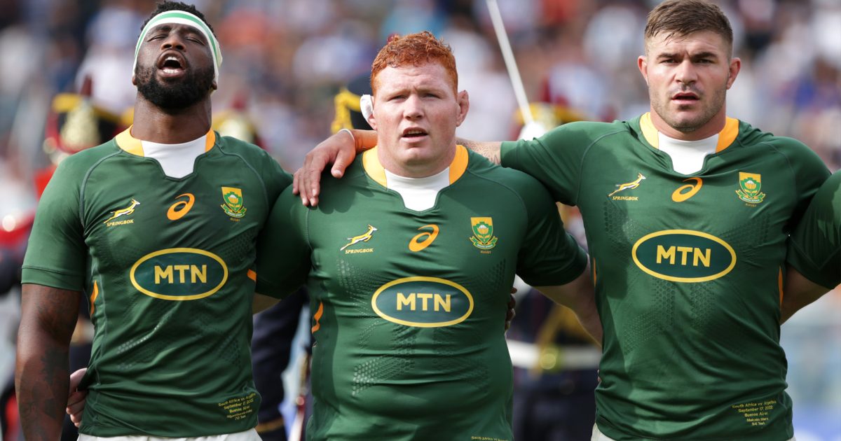 Springbok head coach Jacques Nienaber praises spirit after attempt to ...