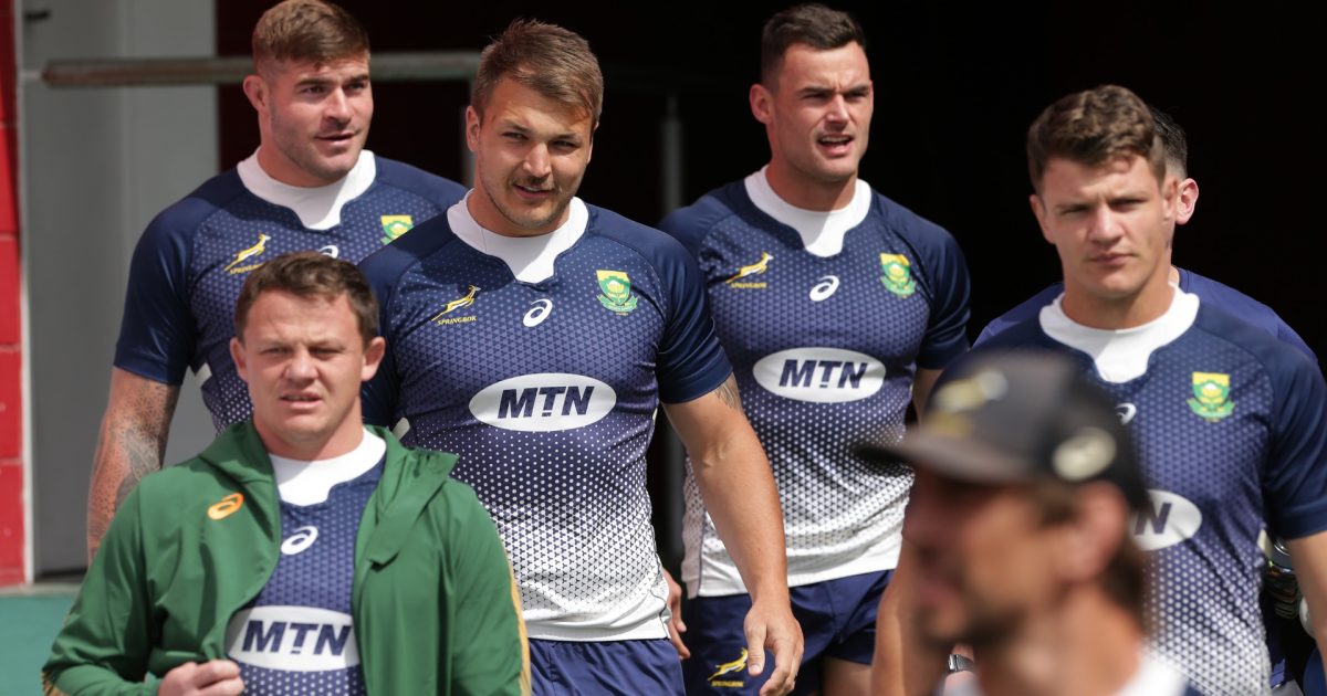 Springboks confirm Esterhuizen and others absent versus England