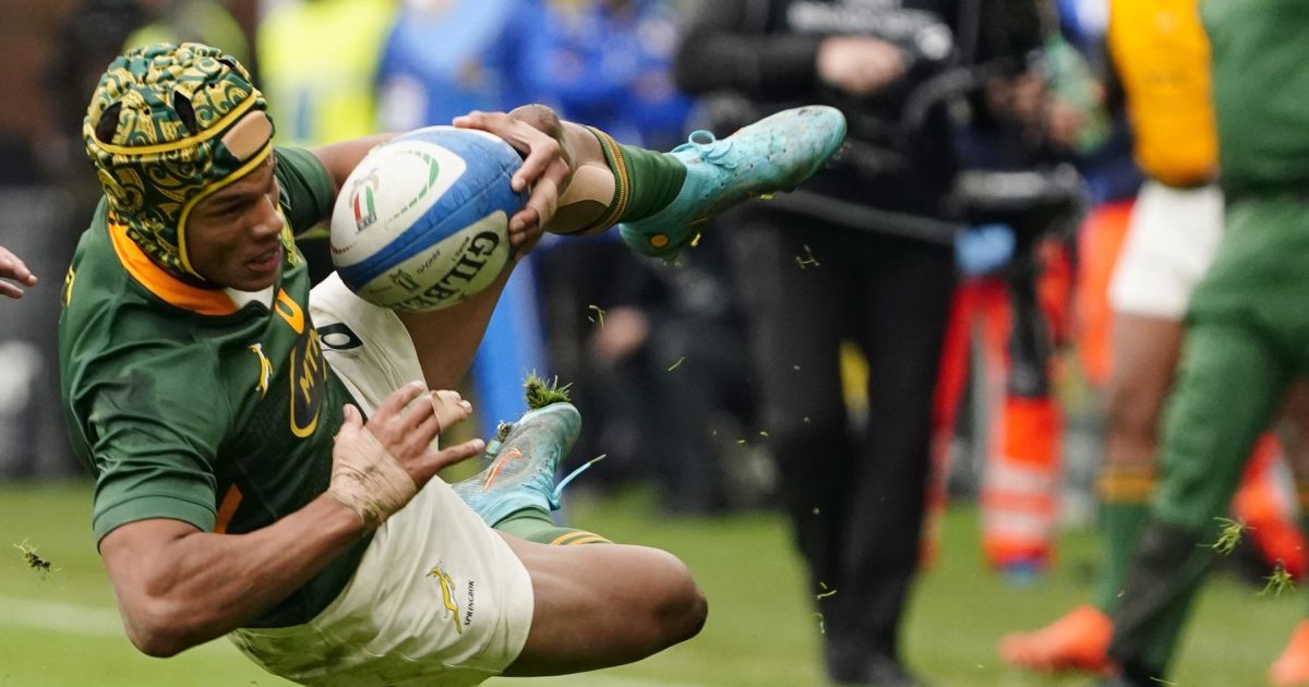Springboks player ratings vs Italy | Autumn Nations Series