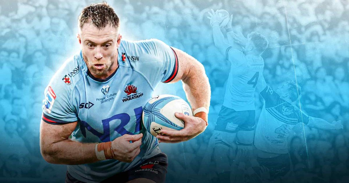 Is Jed Holloway the man to fix Australia's lineout woes?