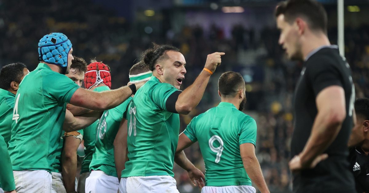 The Richie McCaw verdict on France and Ireland's World Cup chances