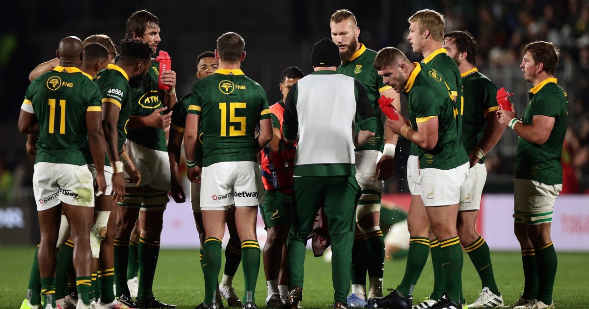 Springboks issue squad update ahead of final home match of 2023