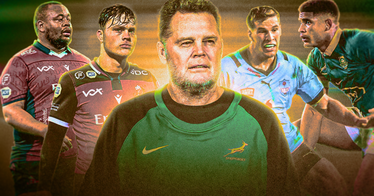 The Springbok selection experiment is far from over