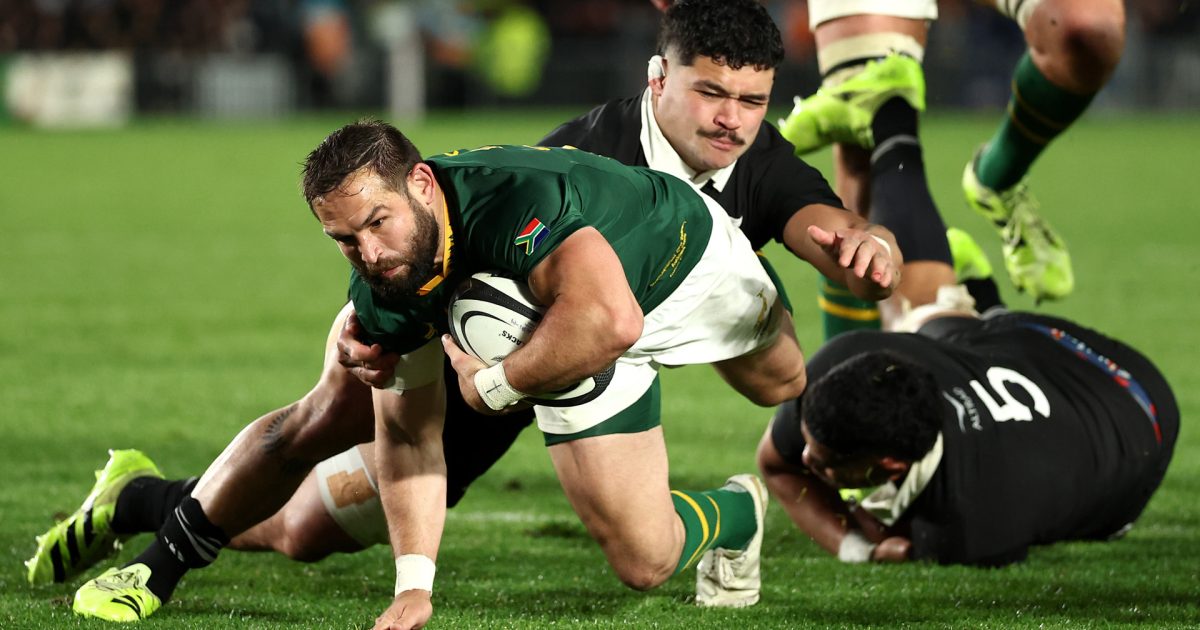 Springboks player ratings vs New Zealand | The Rugby Championship