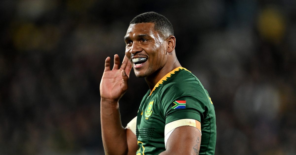 Rampant Springboks return to the top of world rankings