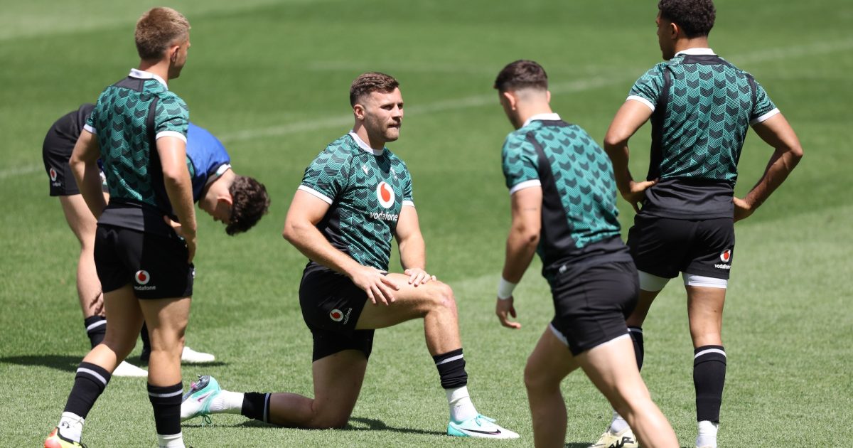 Steve Tandy already dealt Wales blow with two ruled out of autumn