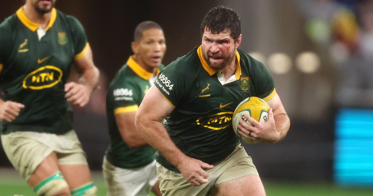 Van Staden talks breakdown battle: Wallabies bit hard, All Blacks ...