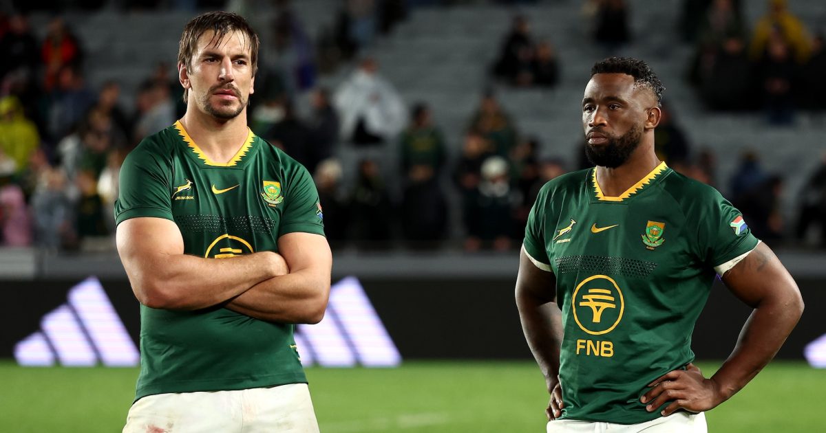 All Blacks defeat was the gift the Springboks needed in this RWC cycle