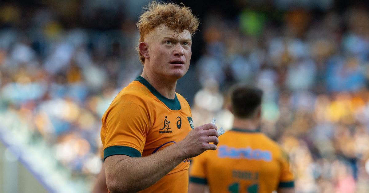 Wallabies fly-half Tane Edmed among new faces in Brumbies’ 2026 squad