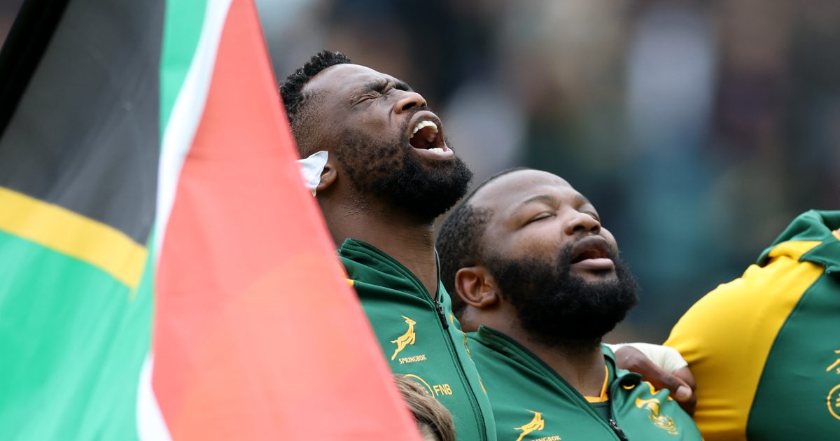 Rugby Championship : l'Afrique du Sud fait plier l'Argentine et ...