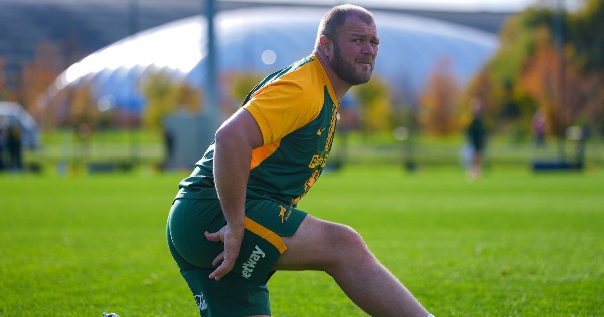 Duane Vermeulen ready to make sensational Springboks return against Wales