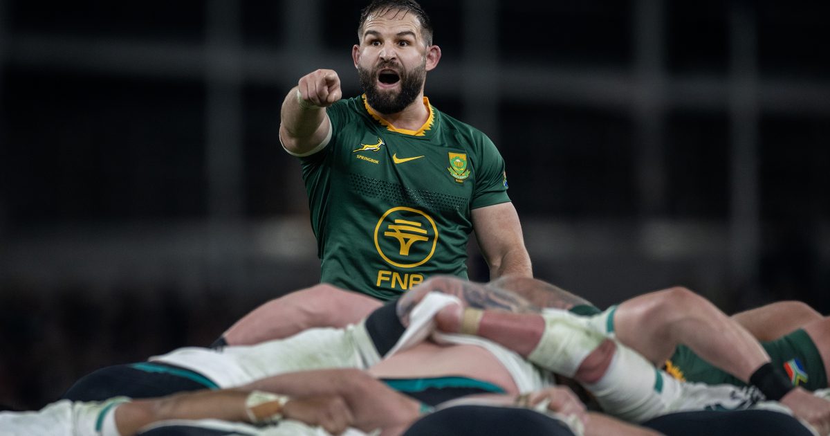 Springboks, même diminués ils font peur au Pays de Galles