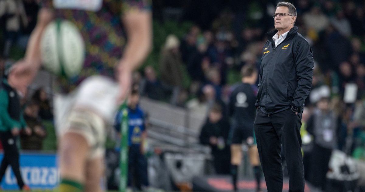 Gio Aplon fears Erasmus decision may see Boks suffer same fate as ...
